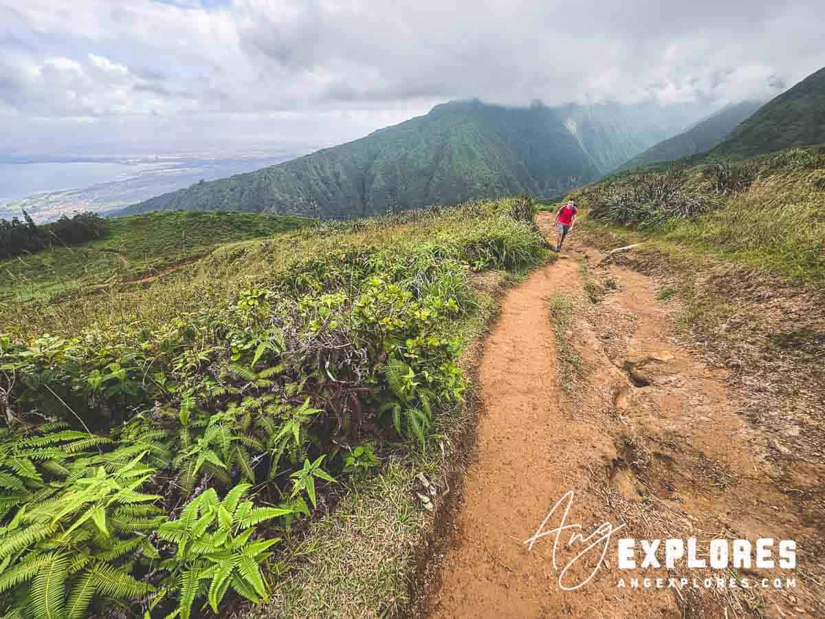 Waiheʻe Ridge Trail (Maui): Hiking Guide, Tips & What To Expect - Ang ...